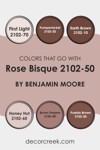 Rose Bisque 2102-50 Paint Color by Benjamin Moore - DecorCreek