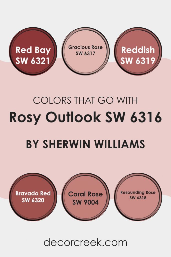 Sherwin Williams Rosy Outlook