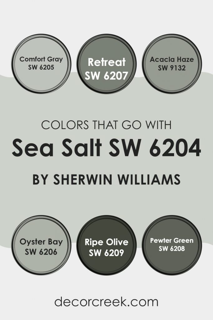 Things to Know Before You Choose Sea Salt SW 6204 by Sherwin Williams ...