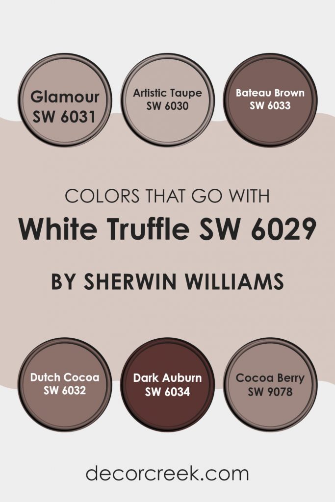 White Truffle SW 6029 Paint Color by Sherwin Williams - DecorCreek