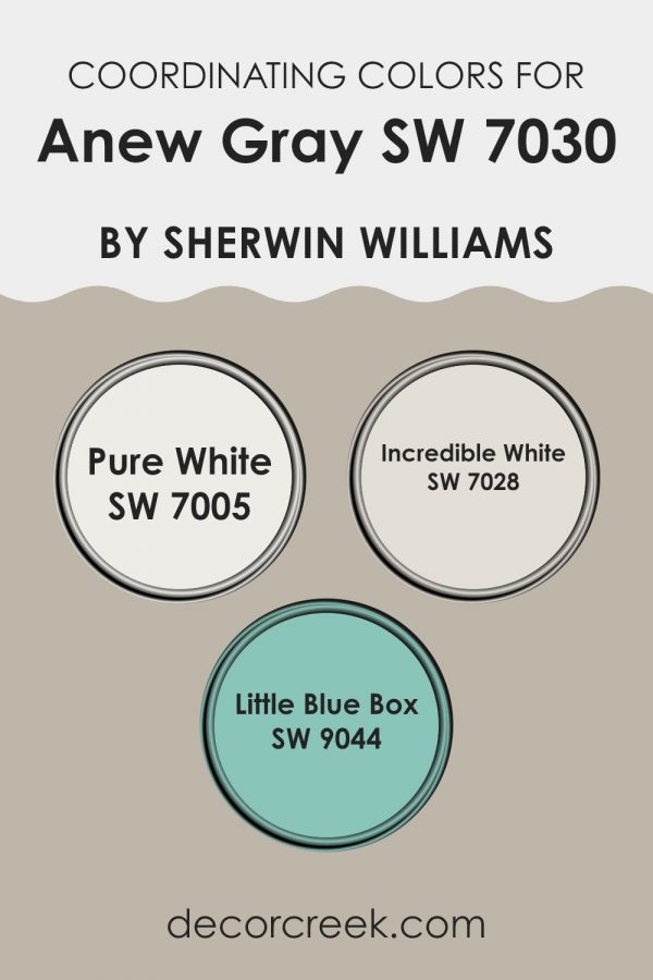 Things to Know Before You Choose Anew Gray SW 7030 by Sherwin Williams ...