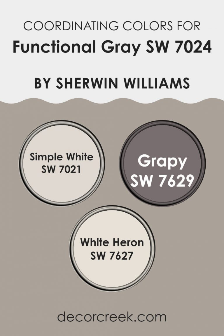 Things to Know Before You Choose Functional Gray SW 7024 by Sherwin ...