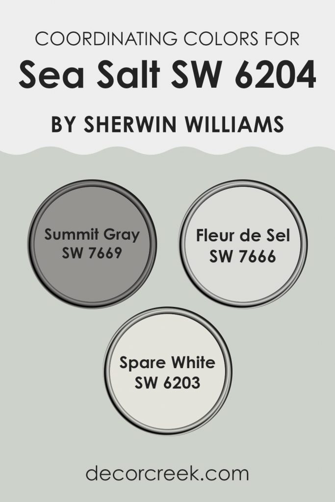 Things to Know Before You Choose Sea Salt SW 6204 by Sherwin Williams ...