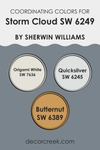 Storm Cloud SW 6249 Paint Color by Sherwin Williams - DecorCreek