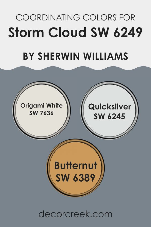 Storm Cloud SW 6249 Paint Color by Sherwin Williams - DecorCreek