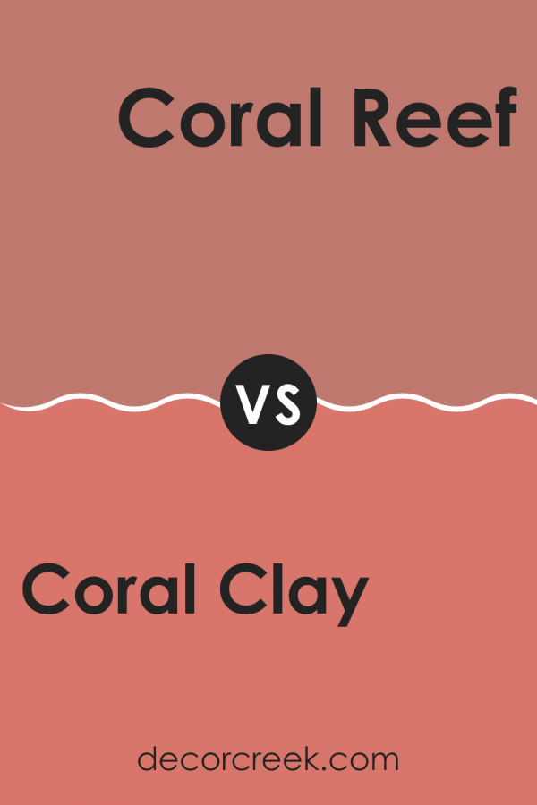 Coral Clay SW 9005 Paint Color by Sherwin Williams - DecorCreek