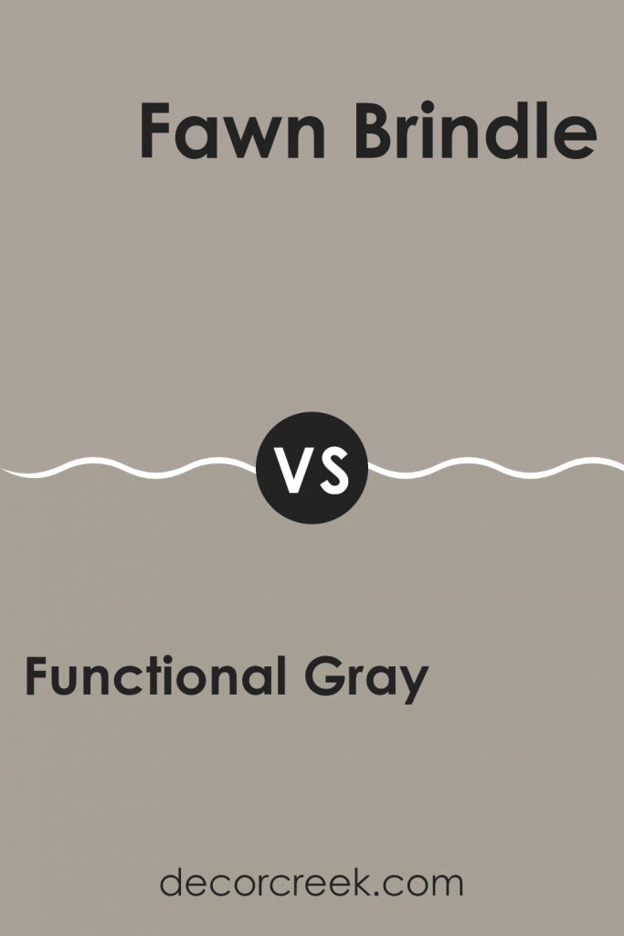 Things to Know Before You Choose Functional Gray SW 7024 by Sherwin ...