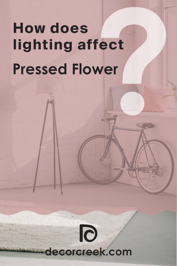 Pressed Flower SW 6304 Paint Color by Sherwin Williams - DecorCreek