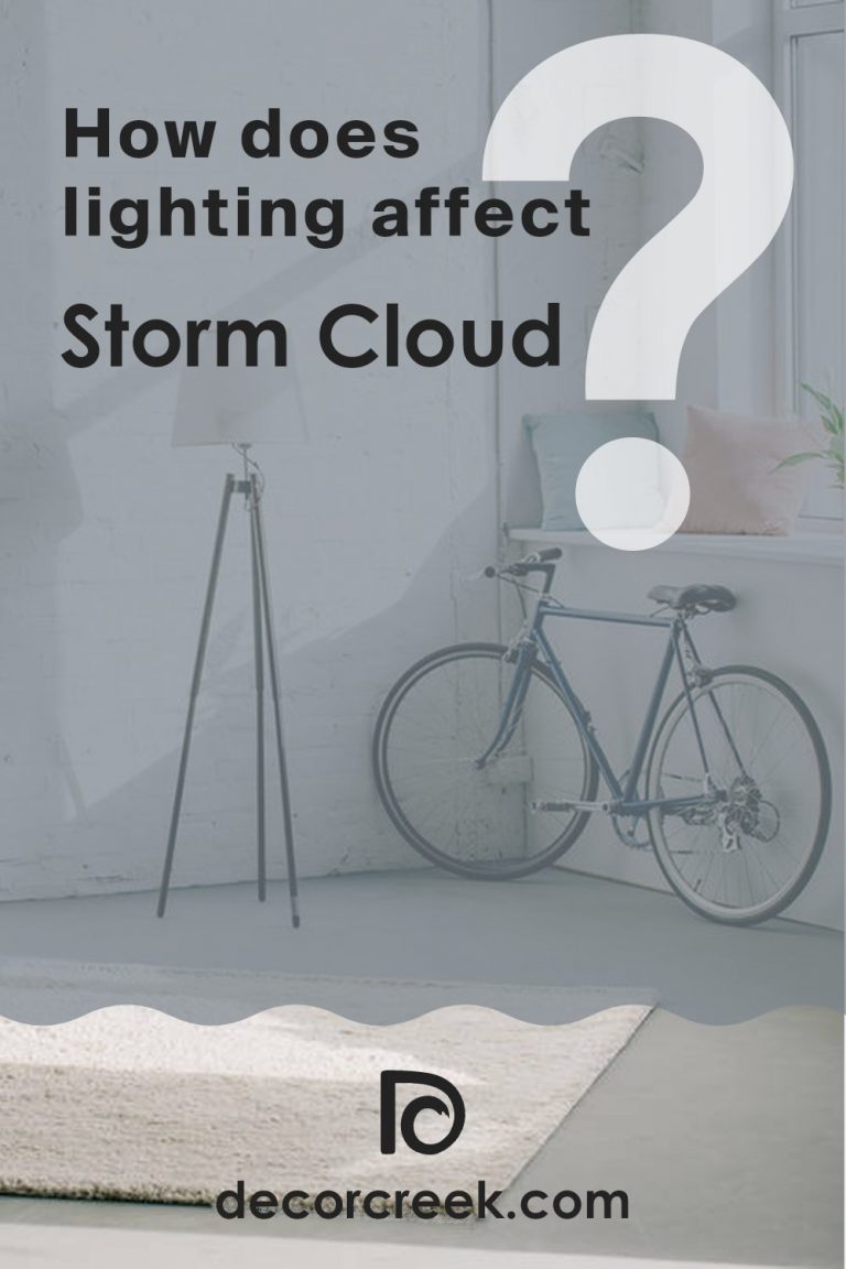Storm Cloud SW 6249 Paint Color by Sherwin Williams - DecorCreek