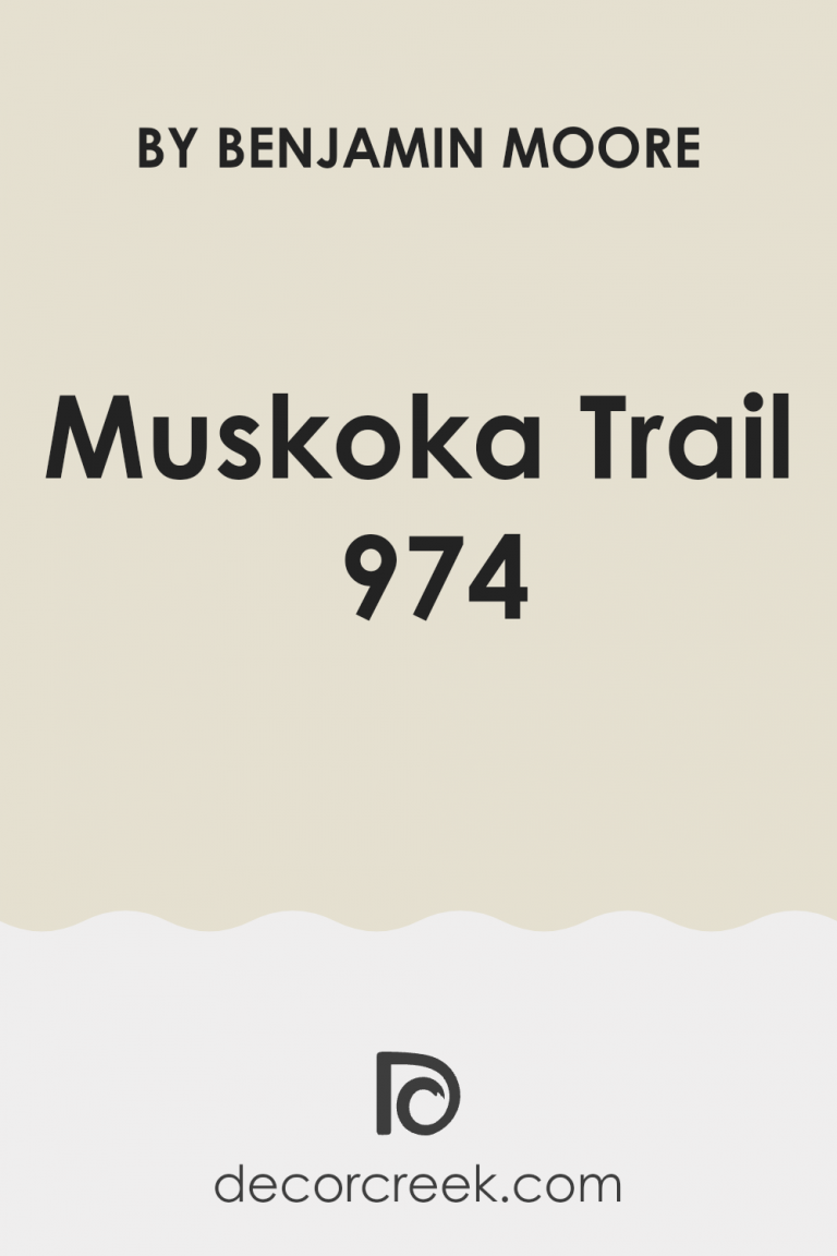 Muskoka Trail 974 Paint Color by Benjamin Moore - DecorCreek