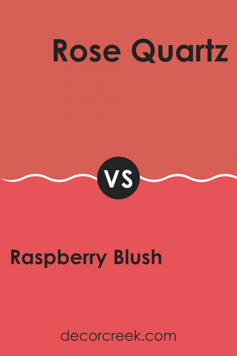 Raspberry Blush 2008-30 Paint Color by Benjamin Moore - DecorCreek
