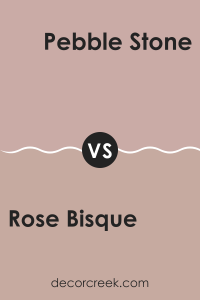 Rose Bisque 2102-50 Paint Color by Benjamin Moore - DecorCreek
