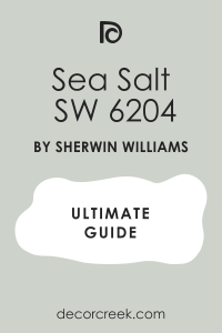 Things to Know Before You Choose Sea Salt SW 6204 by Sherwin Williams ...