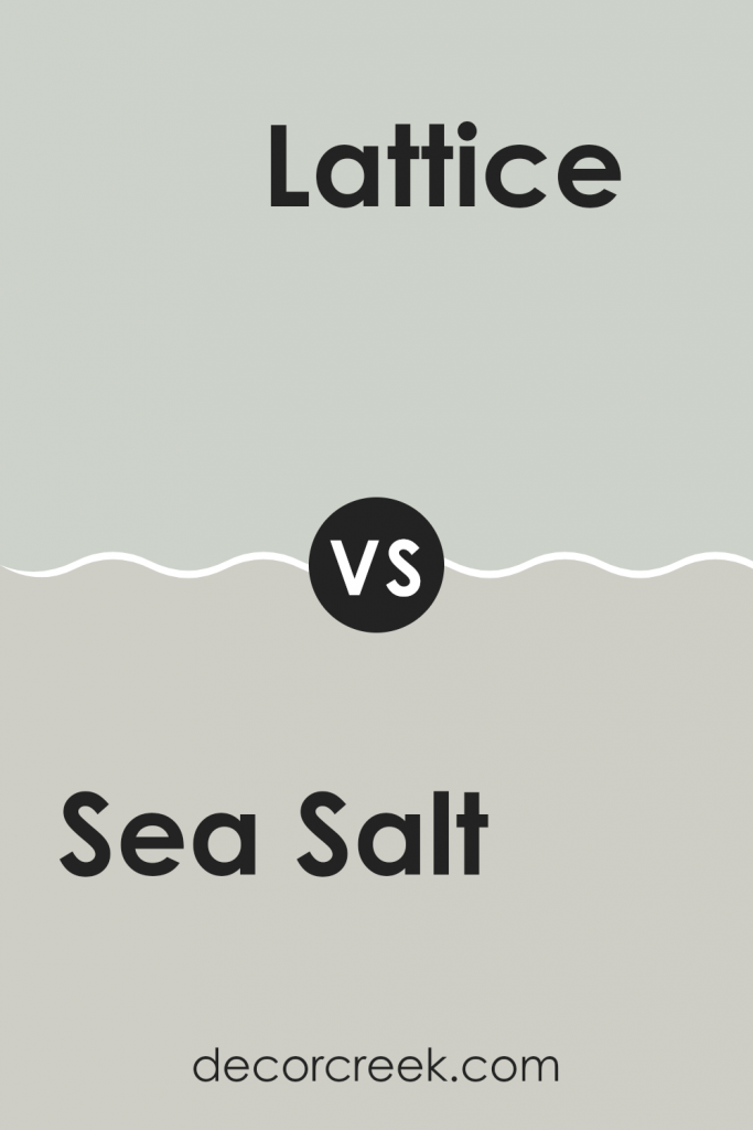Things to Know Before You Choose Sea Salt SW 6204 by Sherwin Williams ...