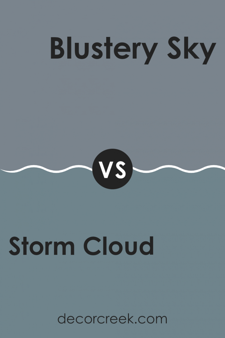 Storm Cloud SW 6249 Paint Color by Sherwin Williams - DecorCreek