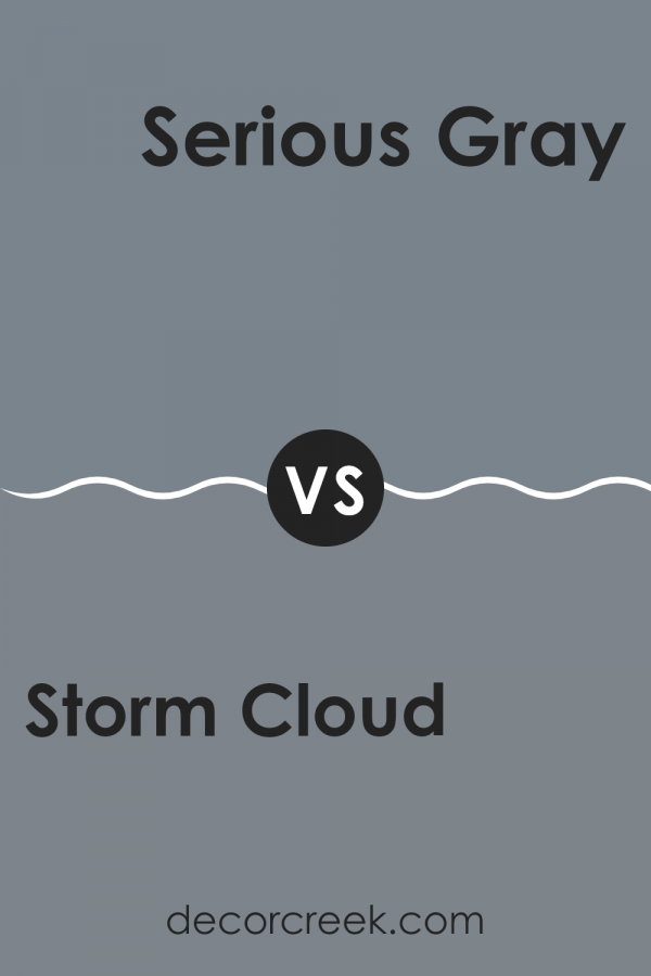 Storm Cloud SW 6249 Paint Color by Sherwin Williams - DecorCreek
