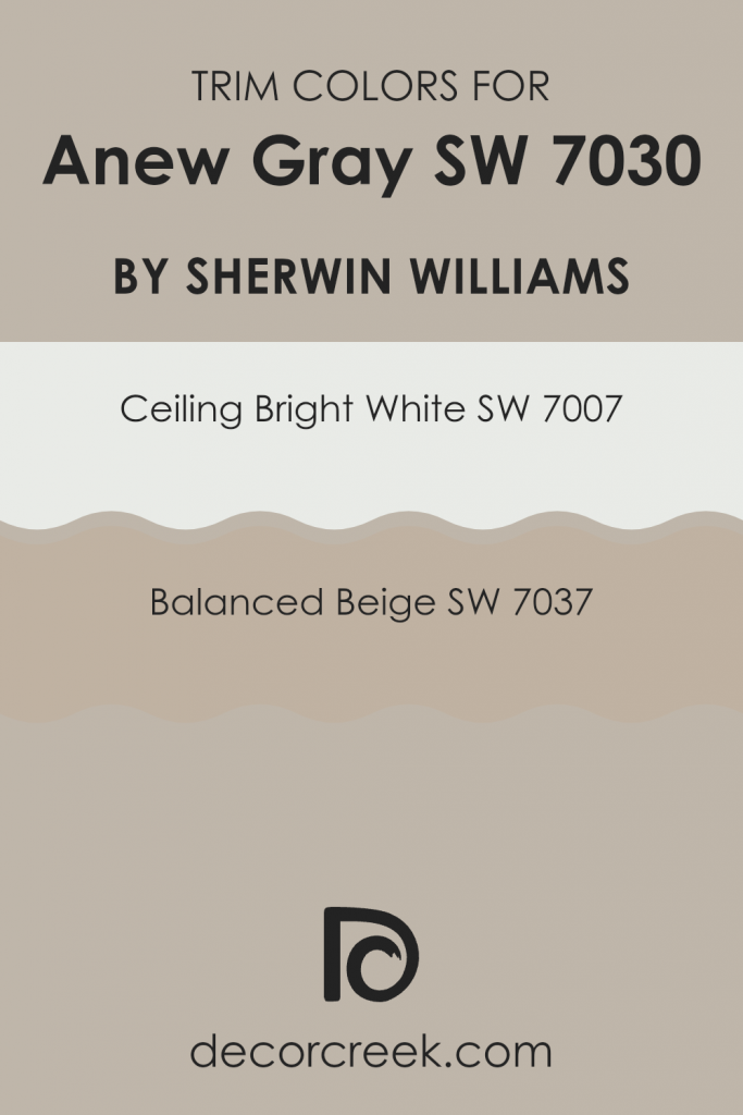 Things to Know Before You Choose Anew Gray SW 7030 by Sherwin Williams ...