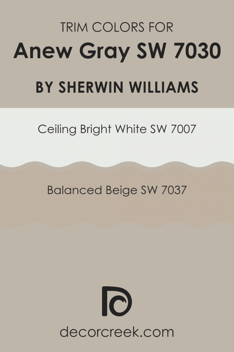 Things to Know Before You Choose Anew Gray SW 7030 by Sherwin Williams ...
