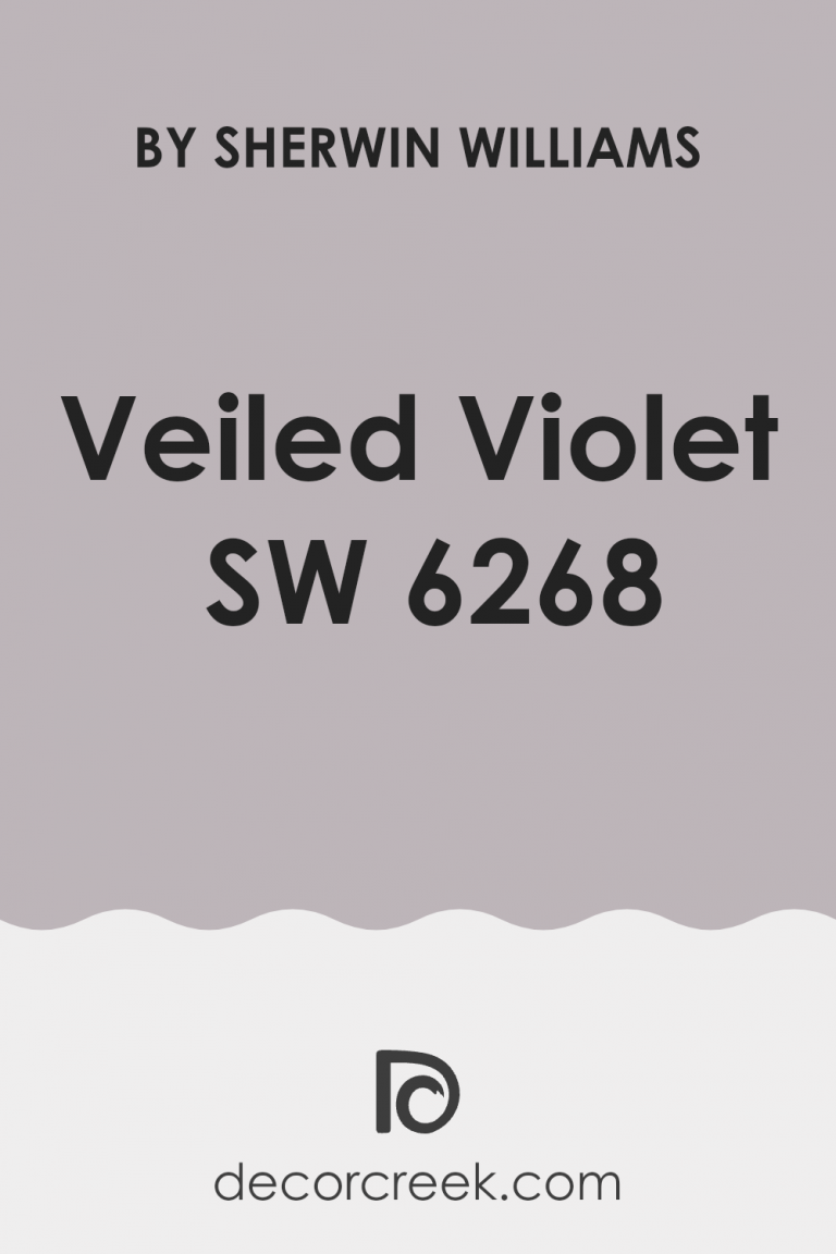 Veiled Violet SW 6268 Paint Color by Sherwin Williams - DecorCreek