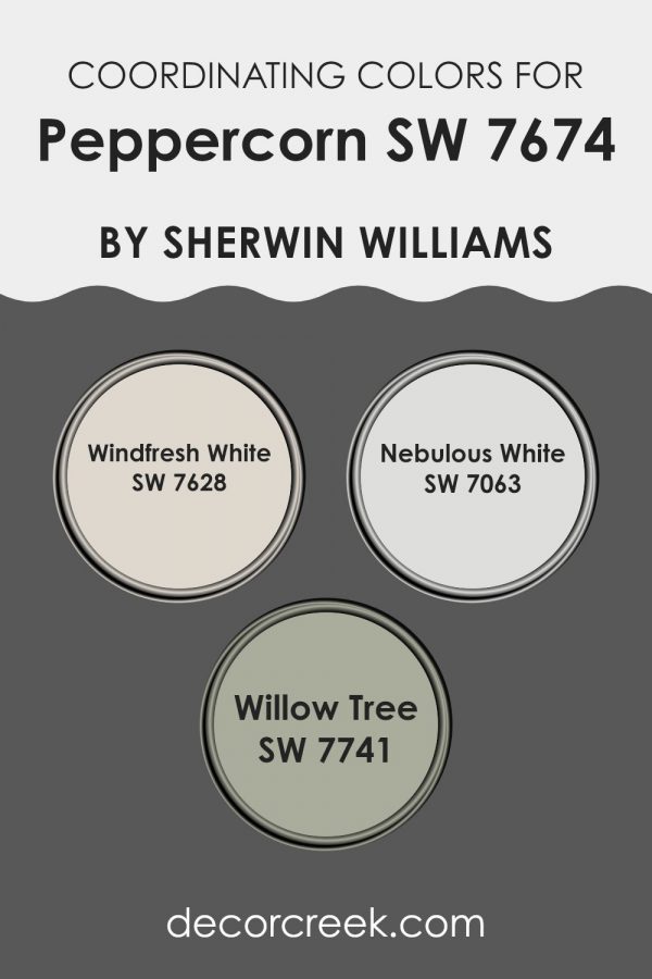 Things to Know Before You Choose Peppercorn SW 7674 by Sherwin Williams ...