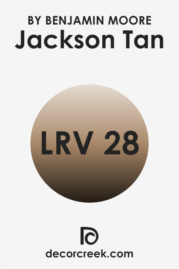 Jackson Tan HC-46 Paint Color by Benjamin Moore - DecorCreek