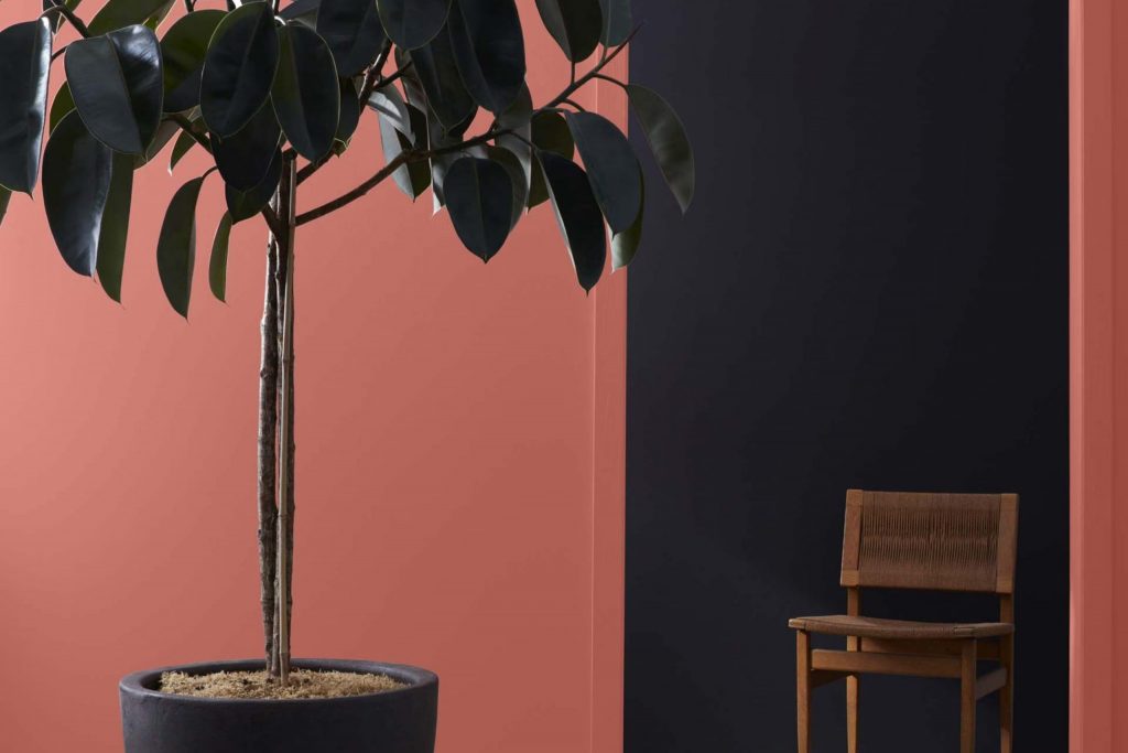 Wild Flower 2090-40 Paint Color by Benjamin Moore - DecorCreek