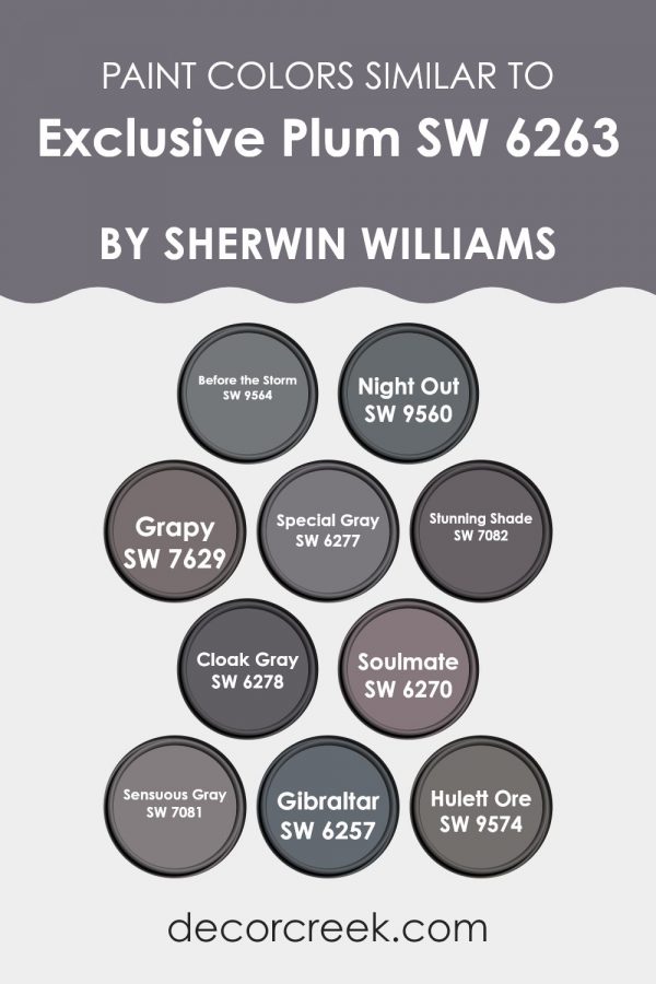 Exclusive Plum SW 6263 Paint Color by Sherwin Williams - DecorCreek