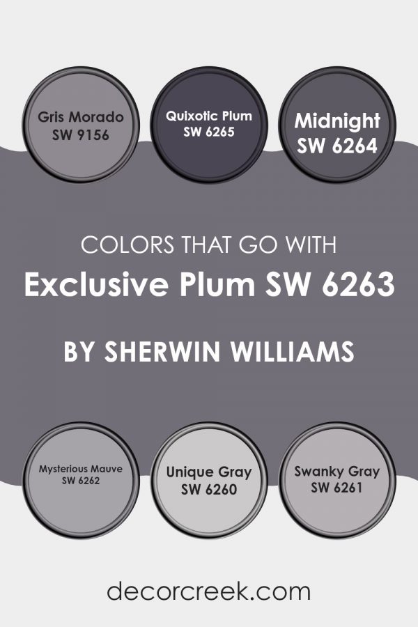 Exclusive Plum SW 6263 Paint Color by Sherwin Williams - DecorCreek