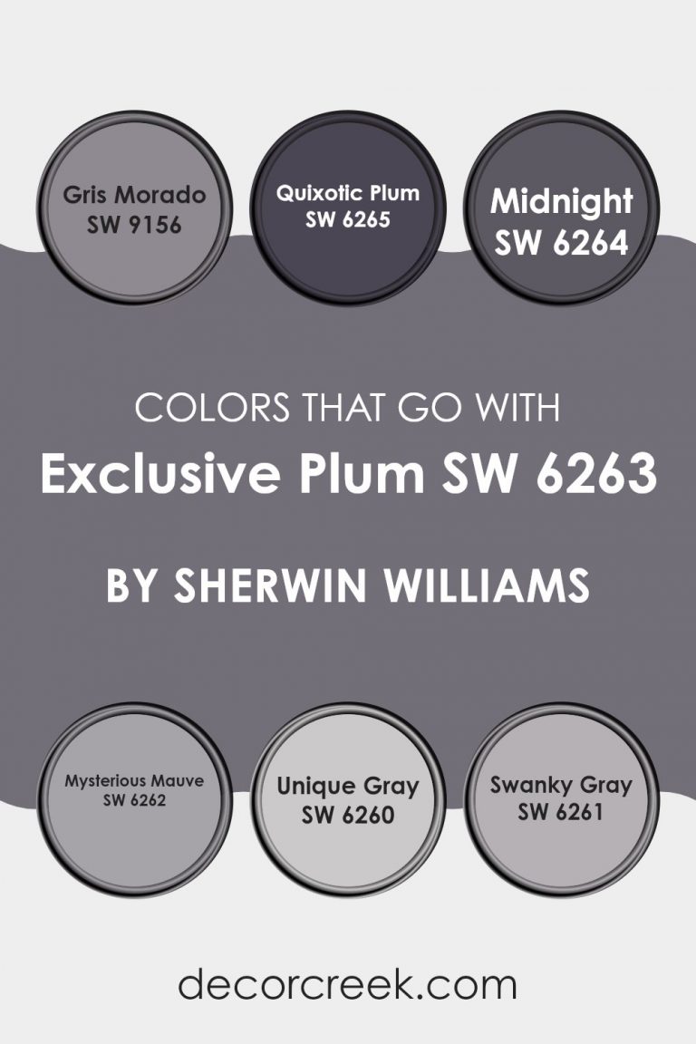 Exclusive Plum SW 6263 Paint Color by Sherwin Williams - DecorCreek