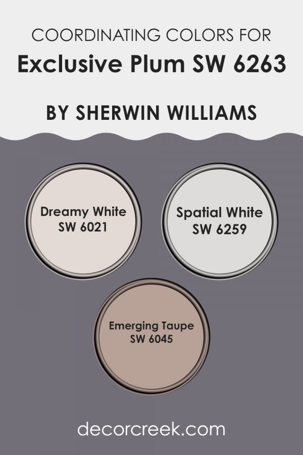 Exclusive Plum SW 6263 Paint Color by Sherwin Williams - DecorCreek