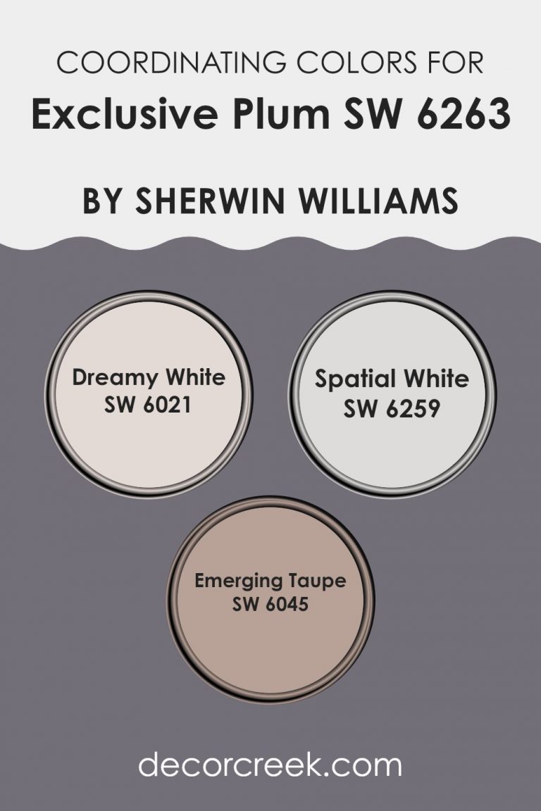 Exclusive Plum SW 6263 Paint Color by Sherwin Williams - DecorCreek