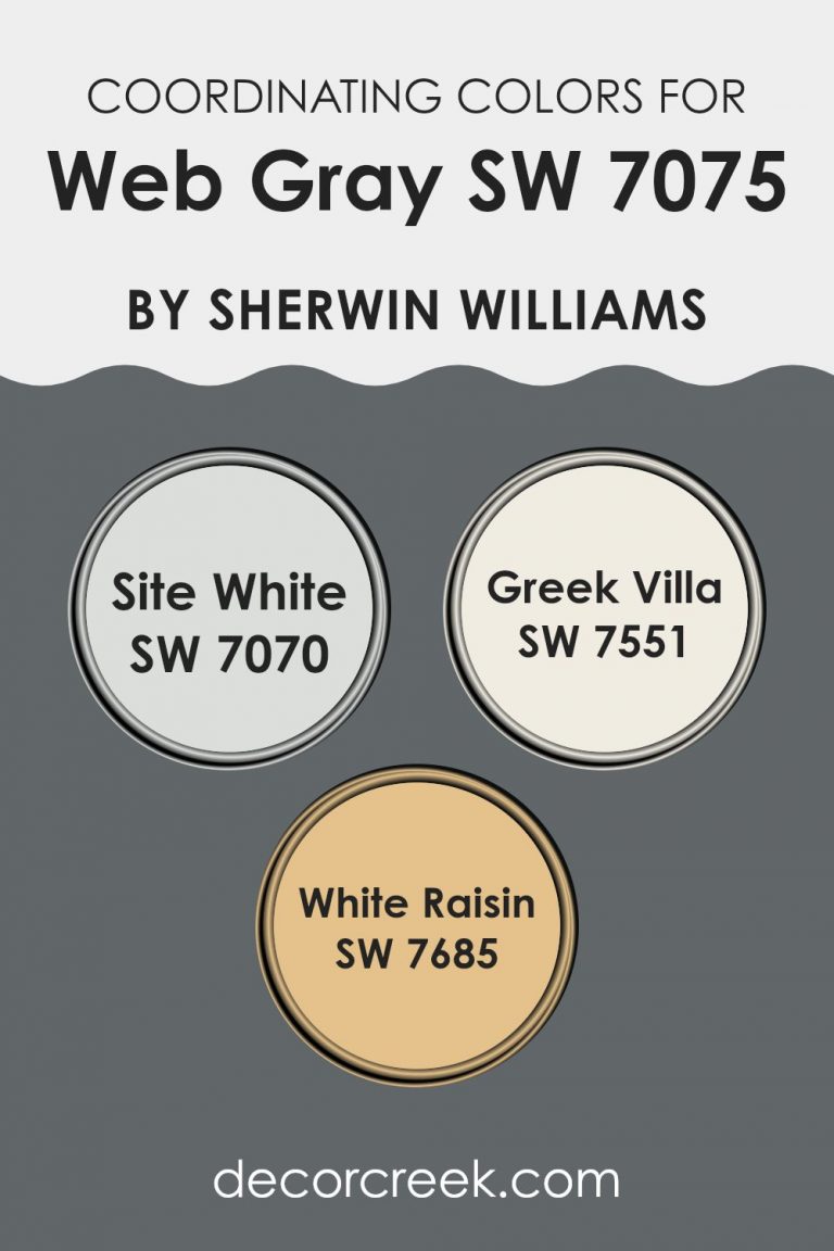 Things to Know Before You Choose Web Gray SW 7075 by Sherwin Williams ...
