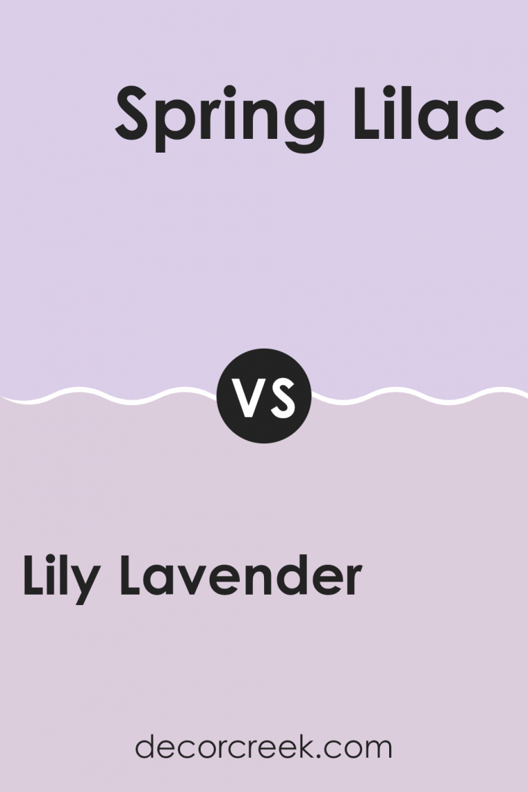 Lily Lavender 2071-60 Paint Color by Benjamin Moore - DecorCreek