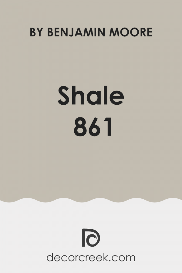 Shale 861 Paint Color by Benjamin Moore - DecorCreek