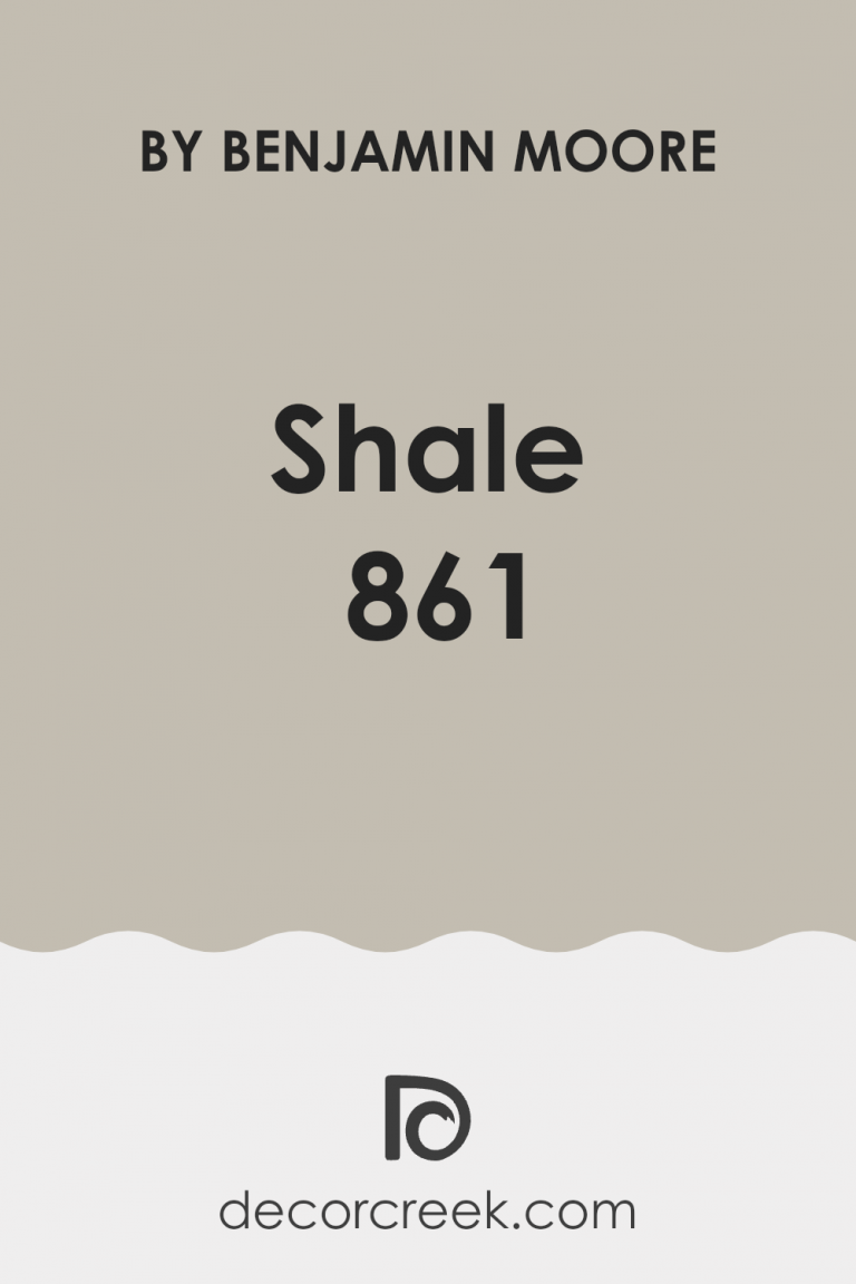 Shale 861 Paint Color by Benjamin Moore - DecorCreek