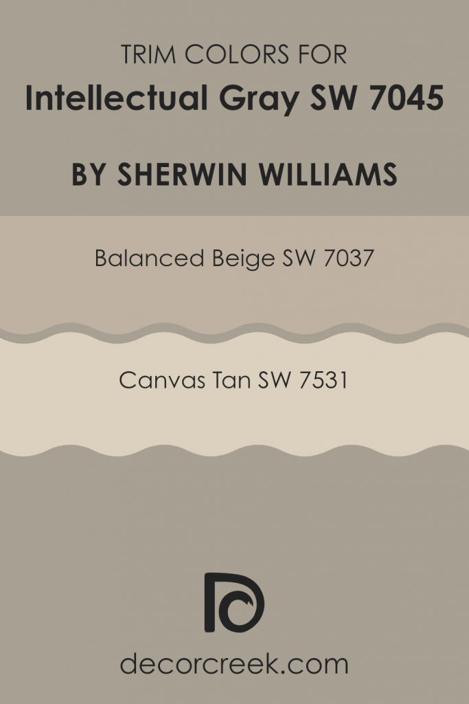 Quick Facts About Intellectual Gray SW 7045 by Sherwin Williams ...