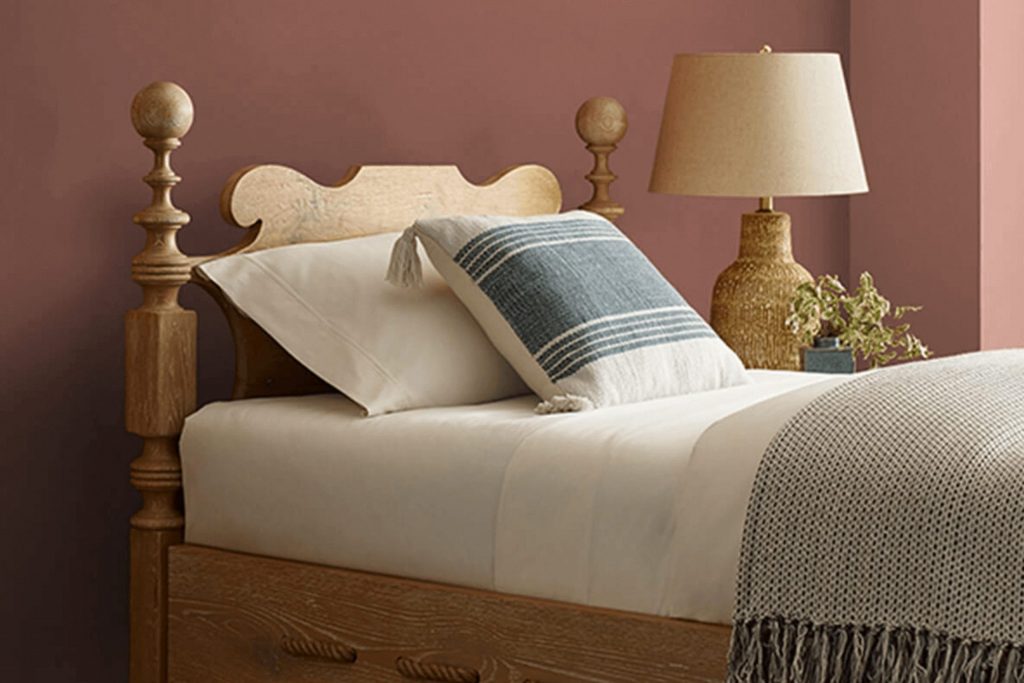 Canyon Clay SW 6054 Paint Color by Sherwin Williams - DecorCreek
